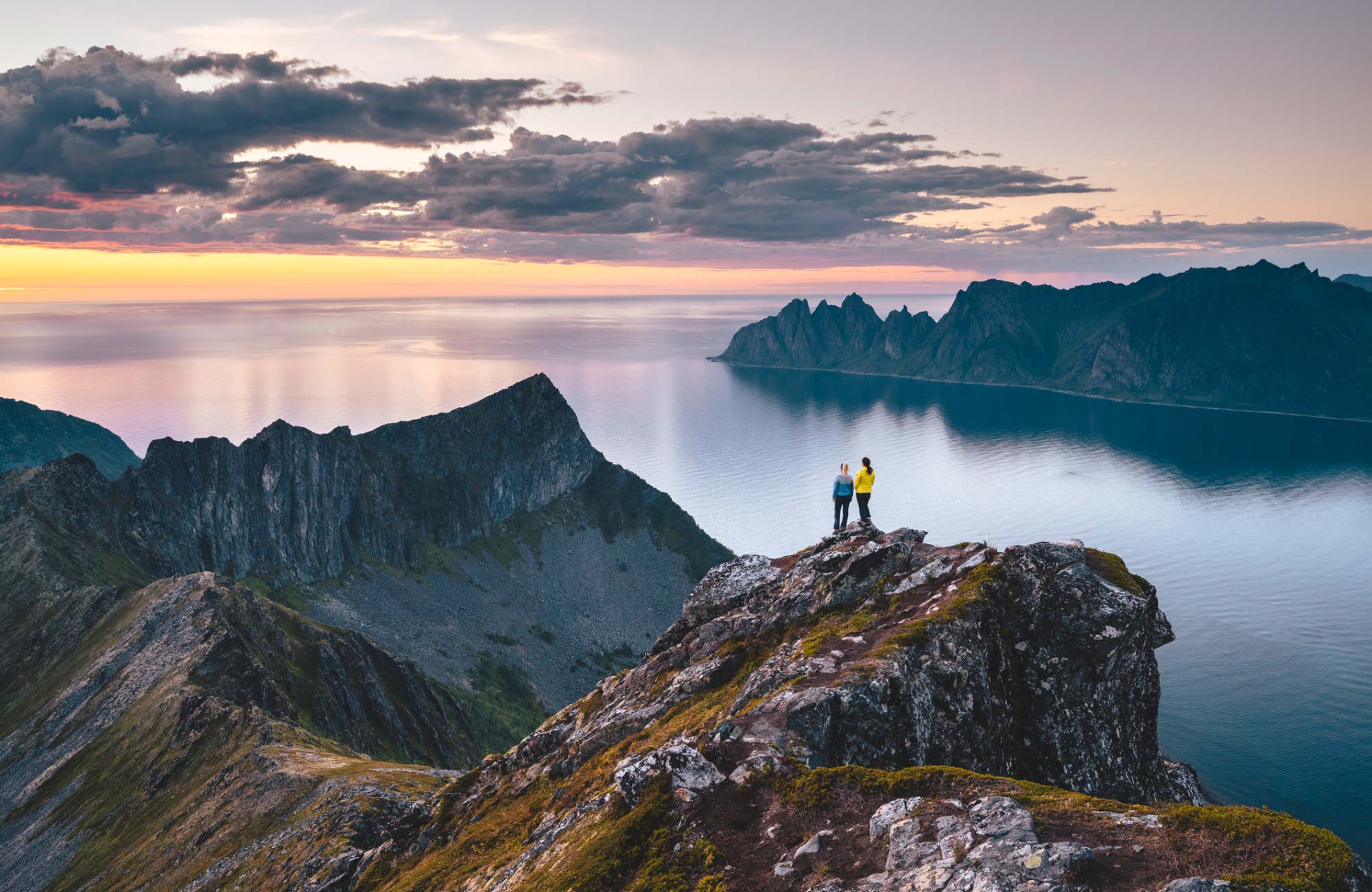 CJ Shortlisted for 6 Performance Marketing Awards