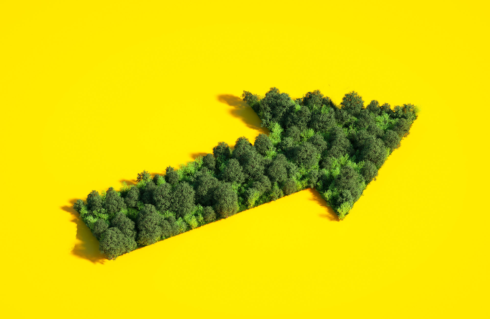 2022 PMA Industry Study Showcases Affiliate's Massive Growth